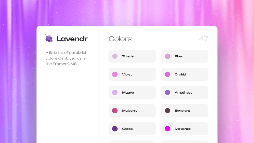 CMS — Framer Academy