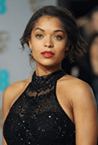 Pally | Social Operating System