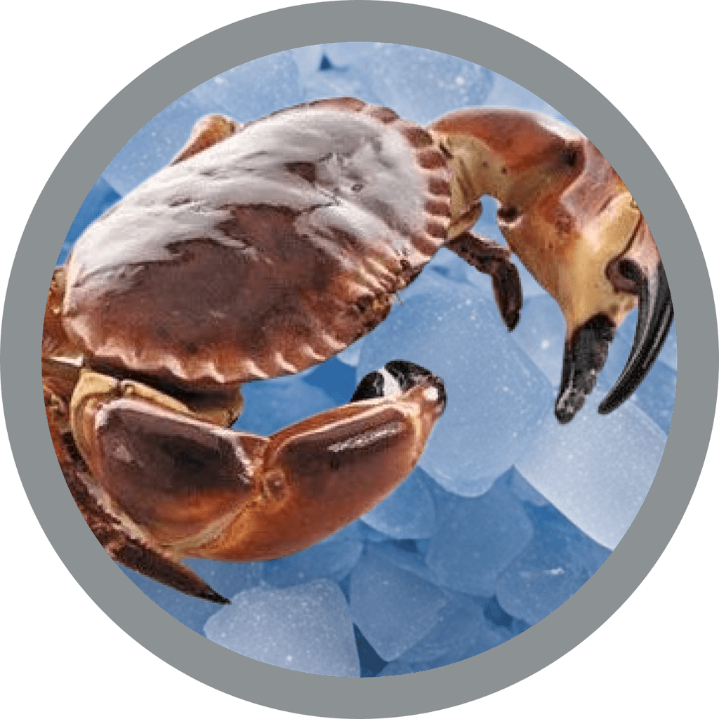 Glenmar Shellfish Ltd.