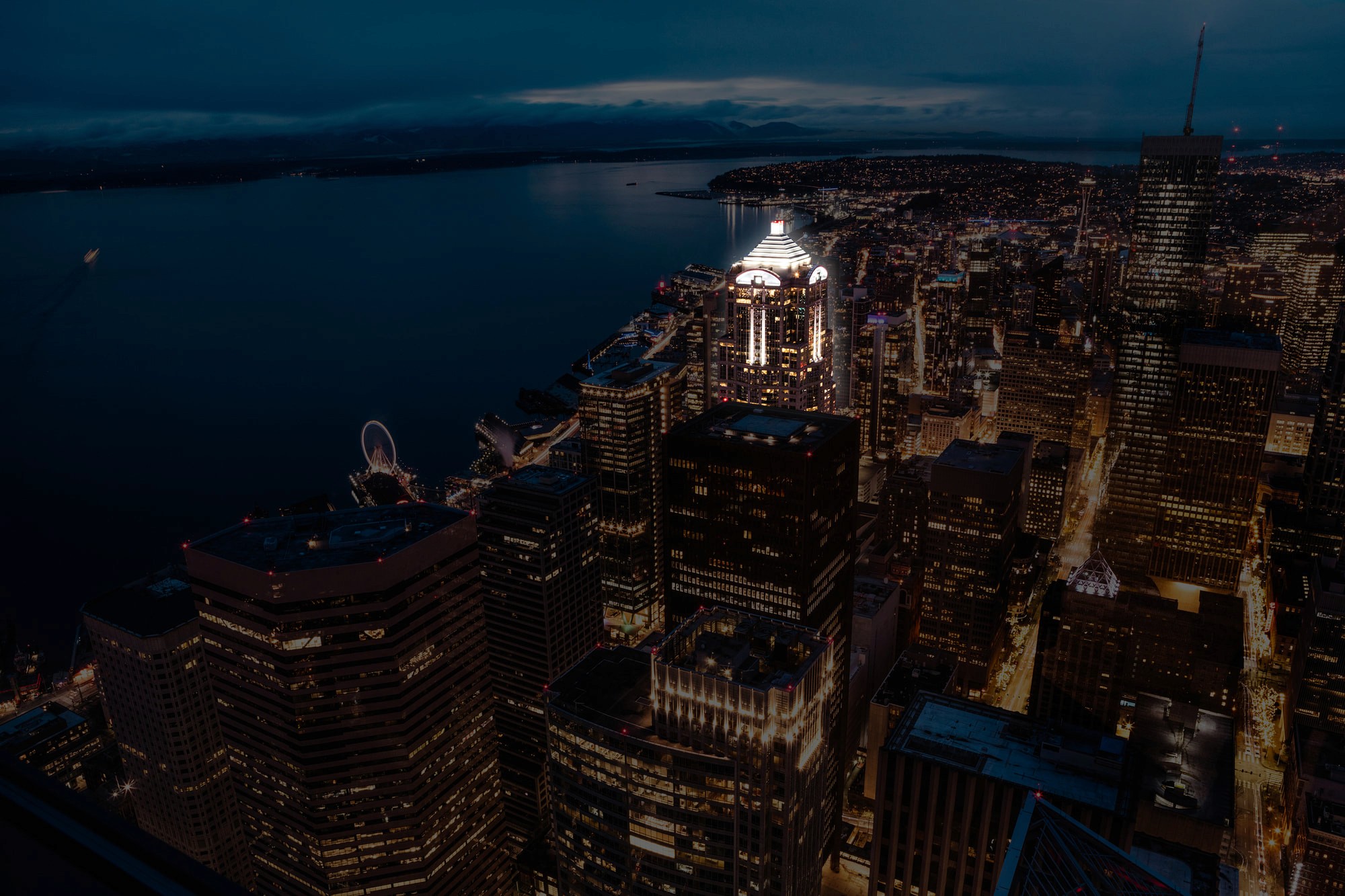 We Multiply Institute