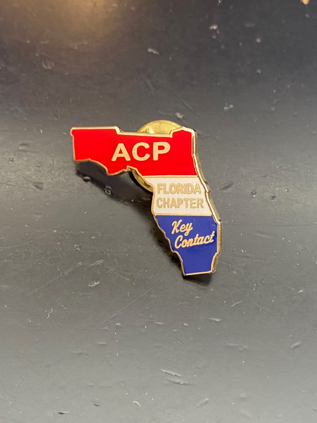 ACP Florida Chapter
