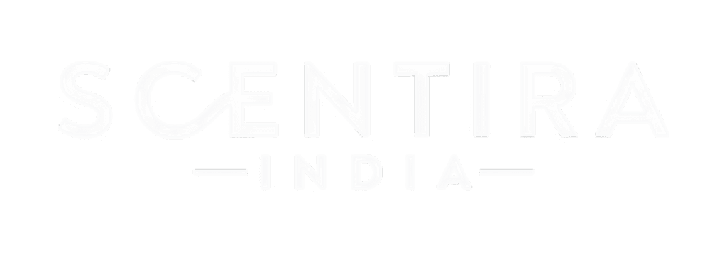 Popin - Video shopping for your website