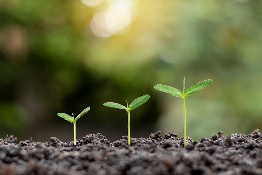 Carbon Program — eAgronom