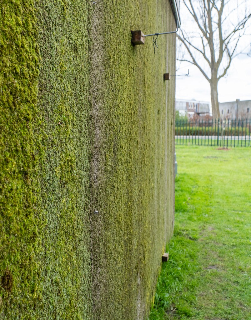 Plaster Solution - gorespyre