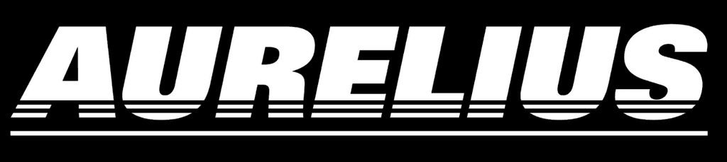 Aurelius Systems - Founders, Inc.