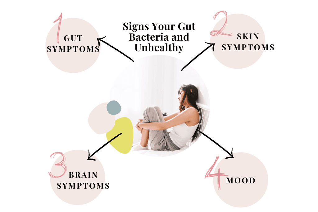 The Gut-Immune System Connection | Prana Thrive - Prana Thrive ...