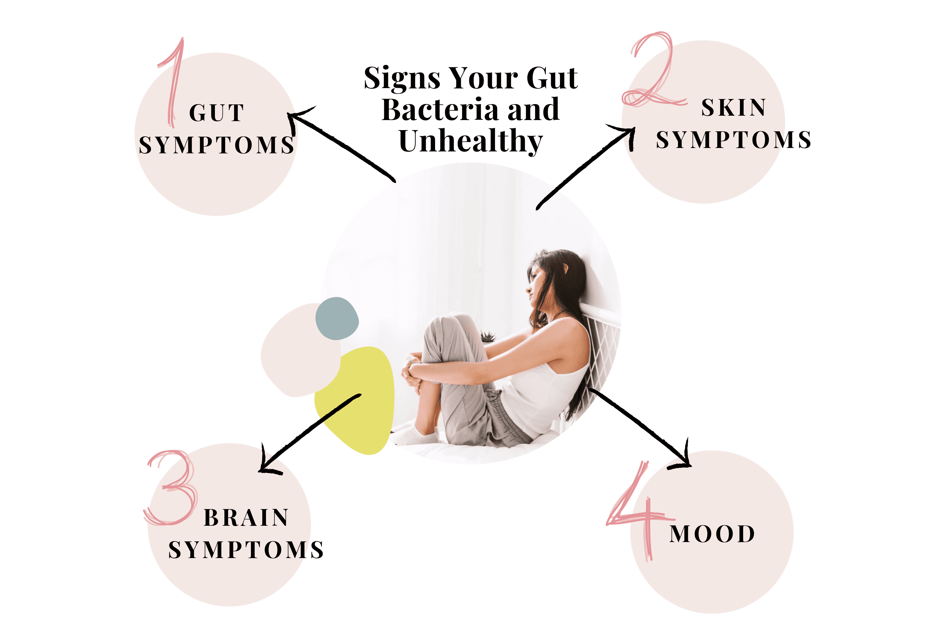 The Gut-Immune System Connection | Prana Thrive - Prana Thrive ...