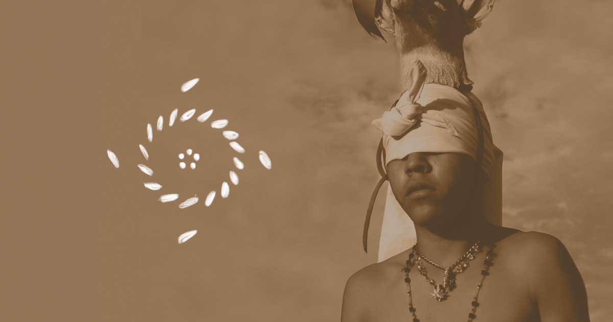 Indigenous Medicine Conservation Fund