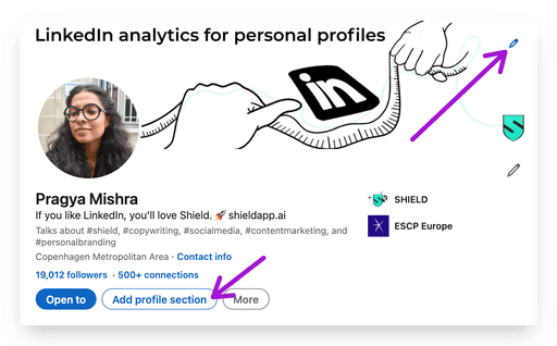 Shield Analytics for LinkedIn
