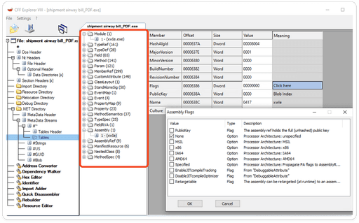 CFF Explorer - Cyberware Hub