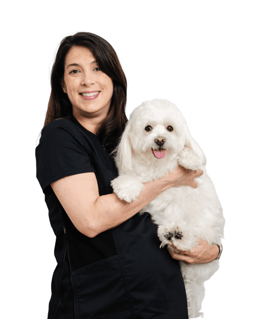 DIP Vet Clinic in Dubai | Emergency Pet Care at Noble Vet DIP