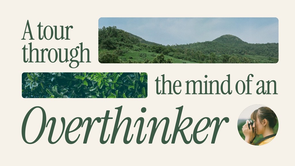 Capybara Anatomy Template - D Story