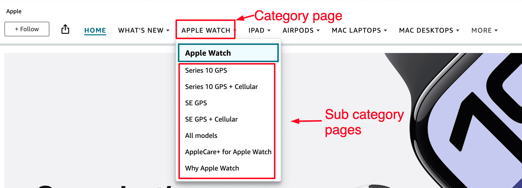 Top Amazon Storefront Examples and How to Build a Winning Brand Store ...