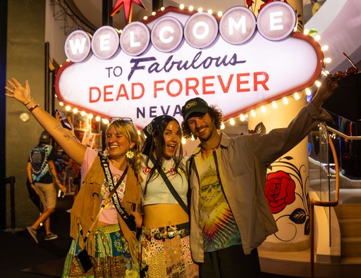 Dead & Company | Vibee