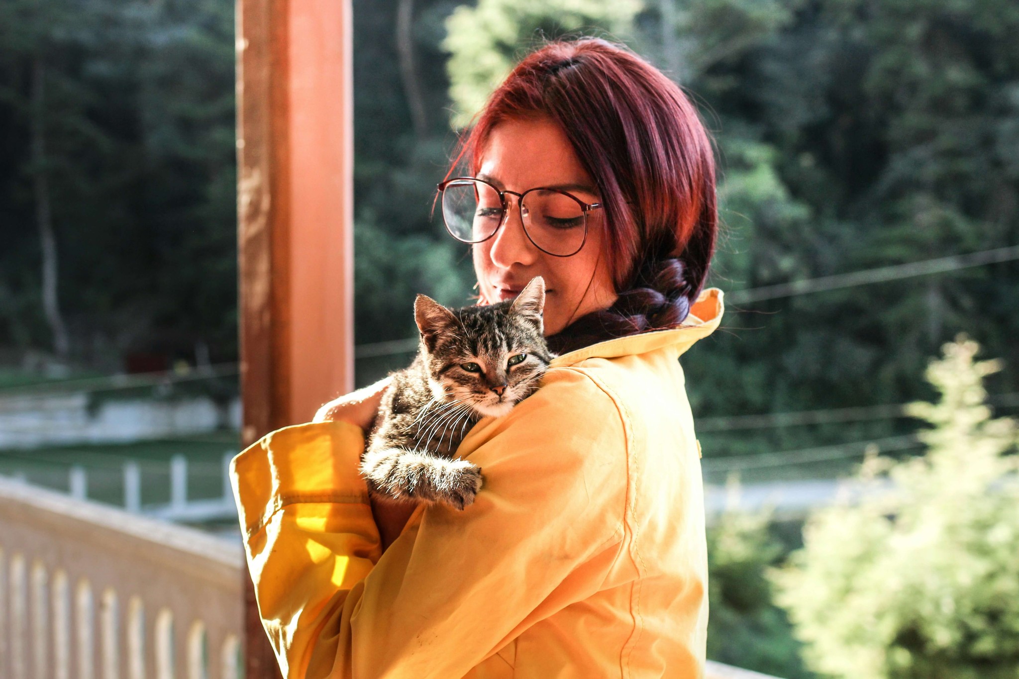 Rehome a pet: find a loving home for pets in need