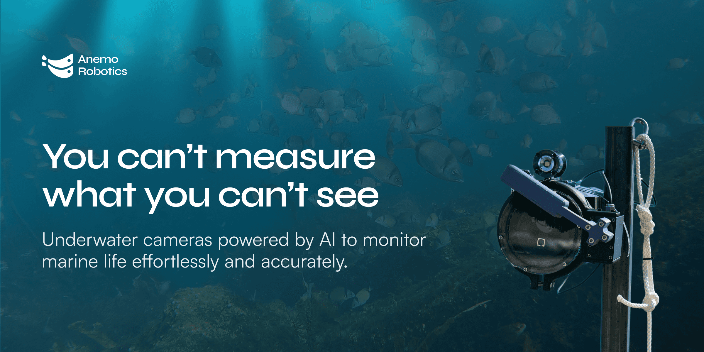 Anemo Robotics | AI-Powered Marine Monitoring Solutions