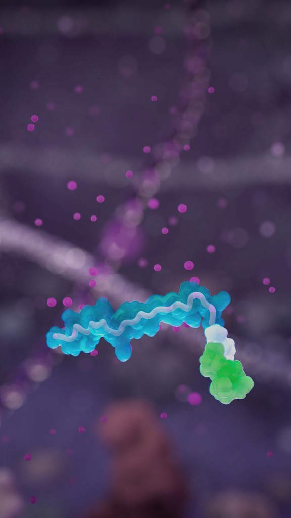 MoA Animation Metatide Peptide Case Study | Visual Science