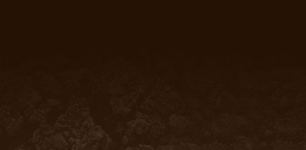 The Earth Rover Program