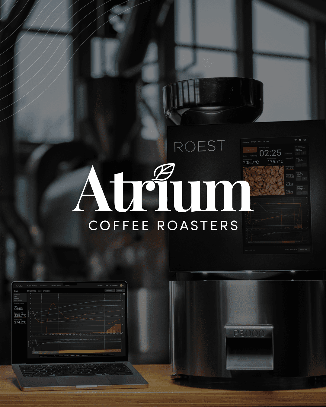 Atrium Coffee | Reclaiming Flavour From Seed To Cup
