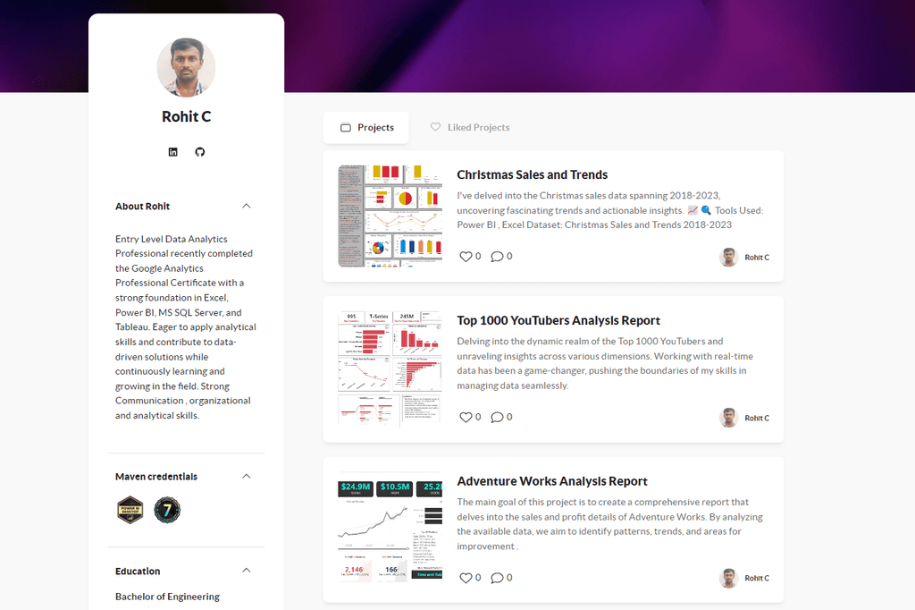 Analysts You Can Hire: Winter 2024 | Maven Analytics