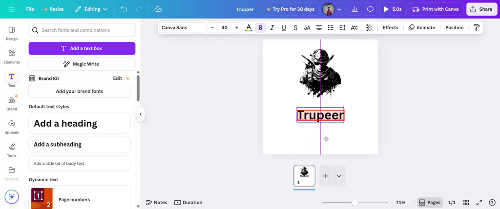 How to Add a Text Box in Canva - 1 minute video guide