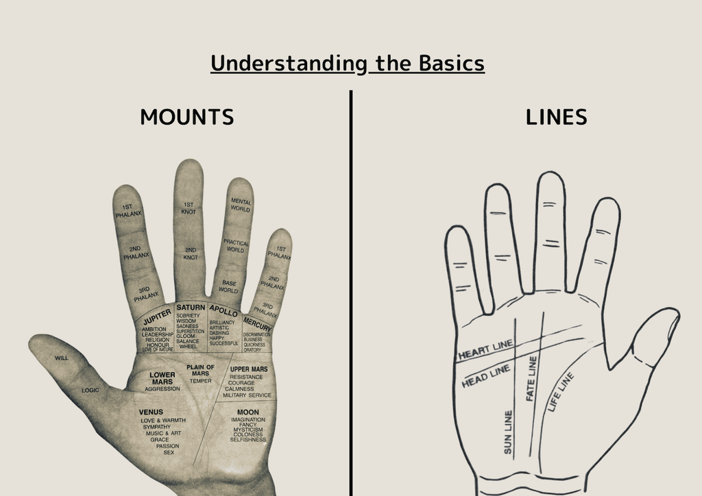 Palm Reading Guide: Learn Palmistry Basics & Meanings | Palmyst