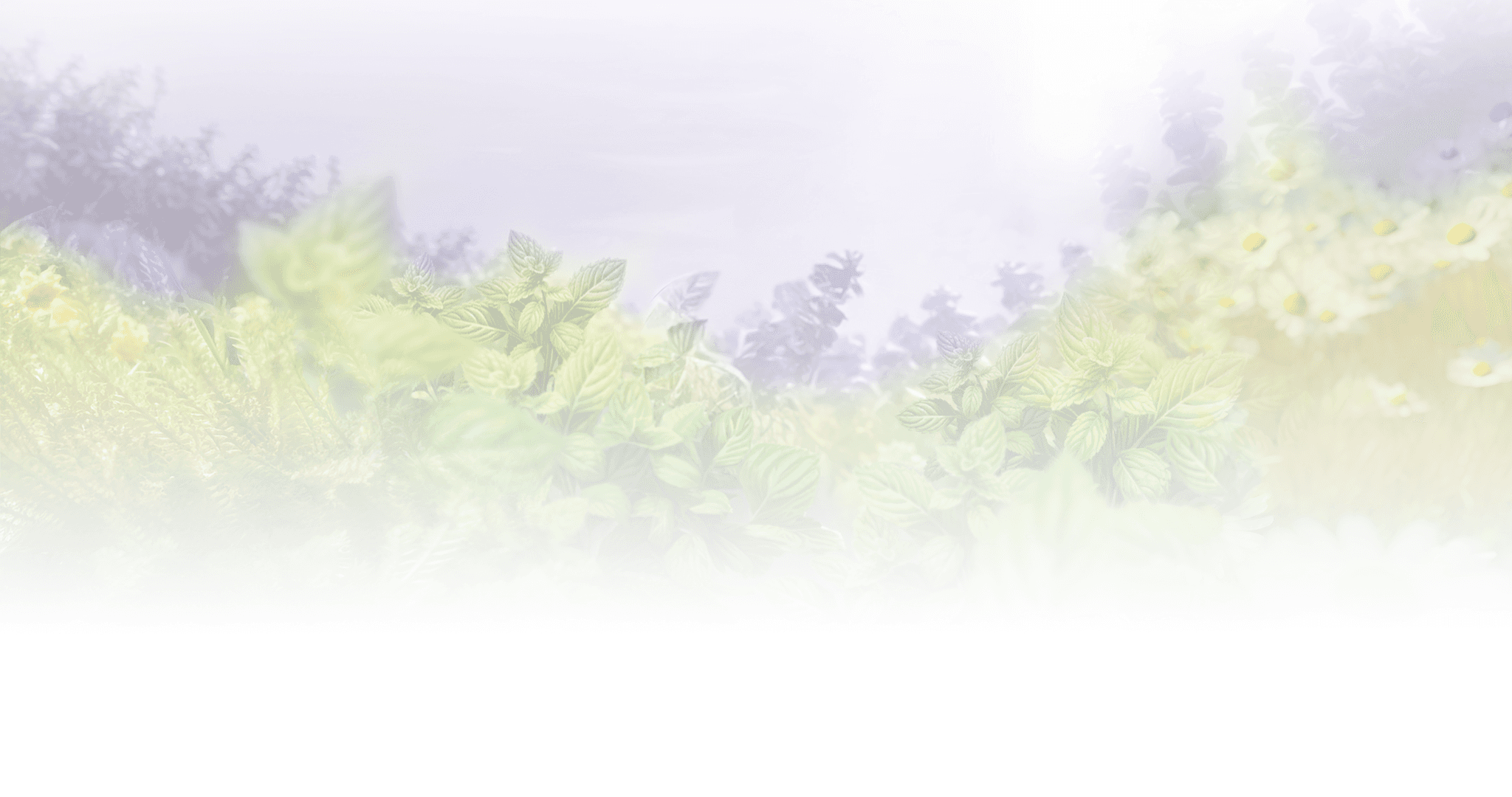 Little Saver | A new generation of area deodorizer!