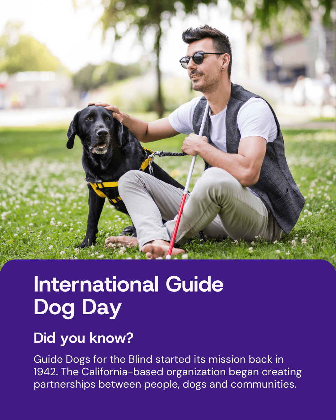 15 veterinary marketing ideas to use in April | PetDesk