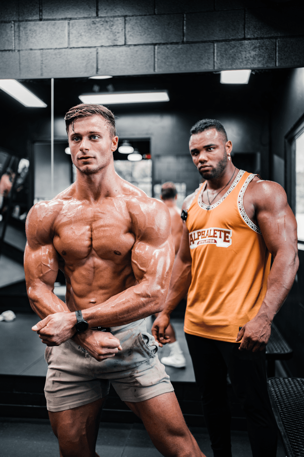 Team Reform Coaching