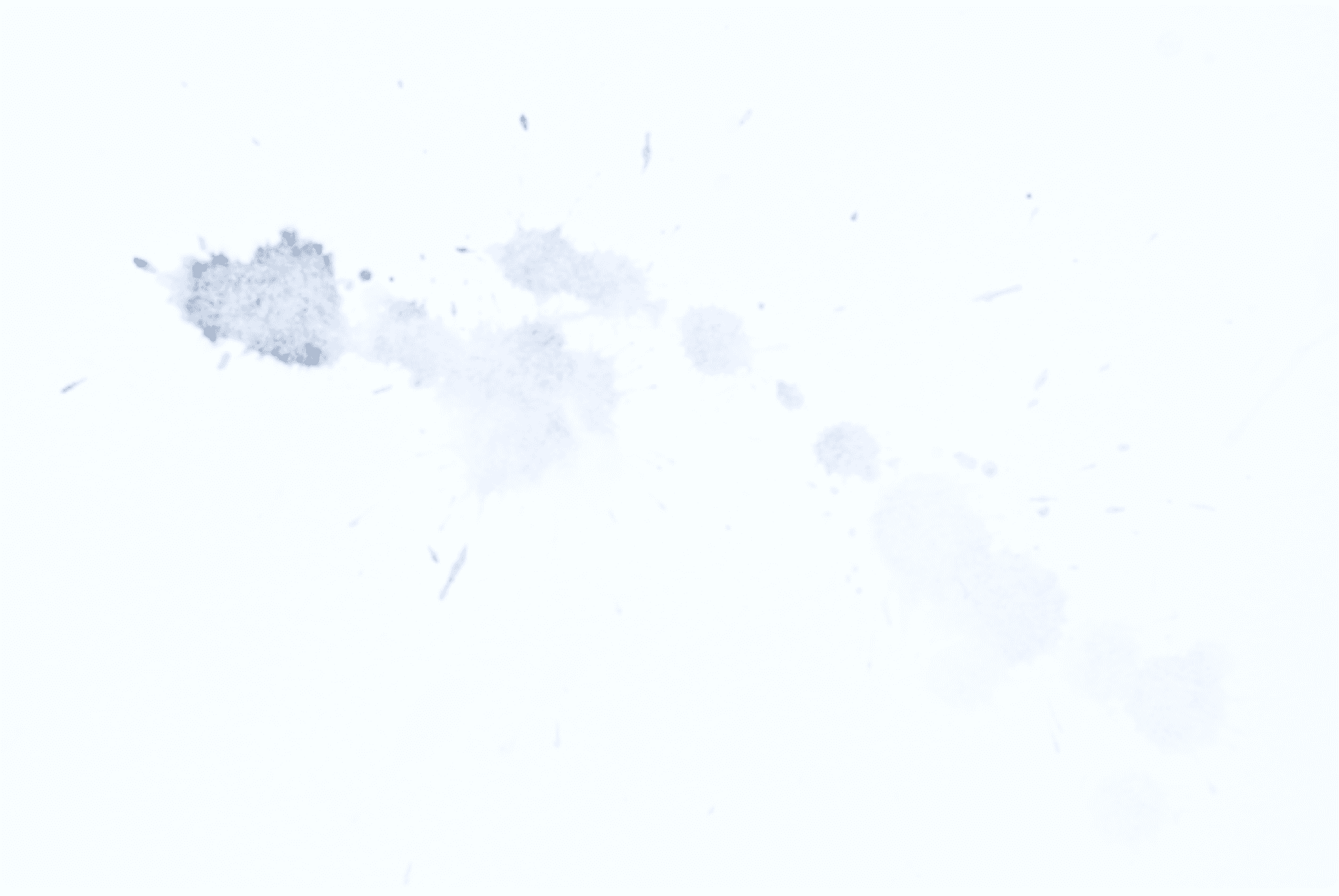 Beacon Software | Careers