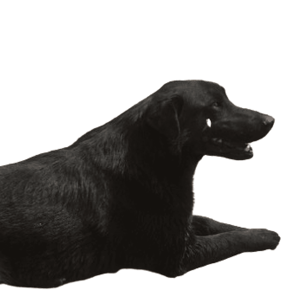 Skinwalker Ranch | The Official Site of Skinwalker Ranch