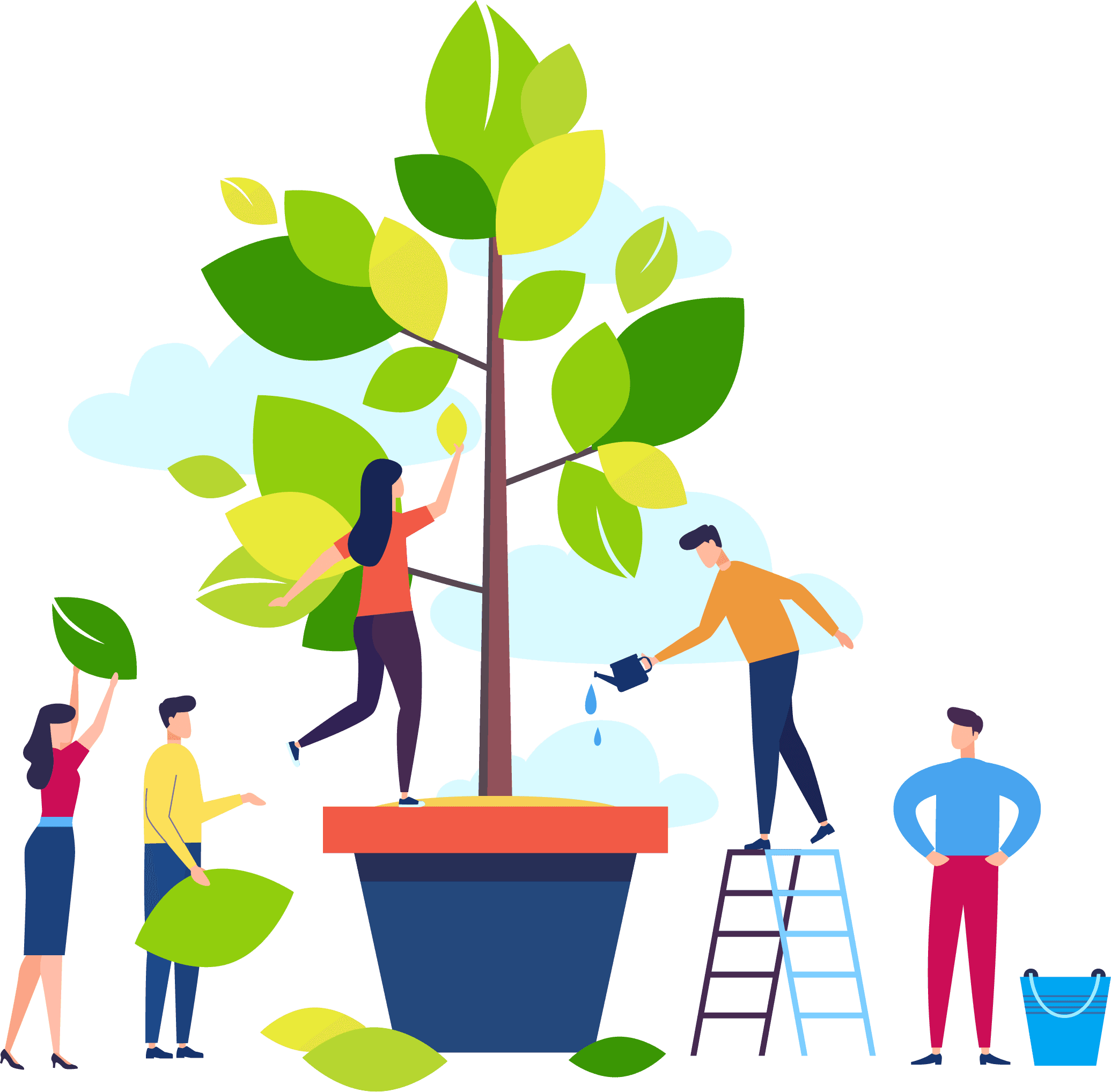 Newsletter | Genistar