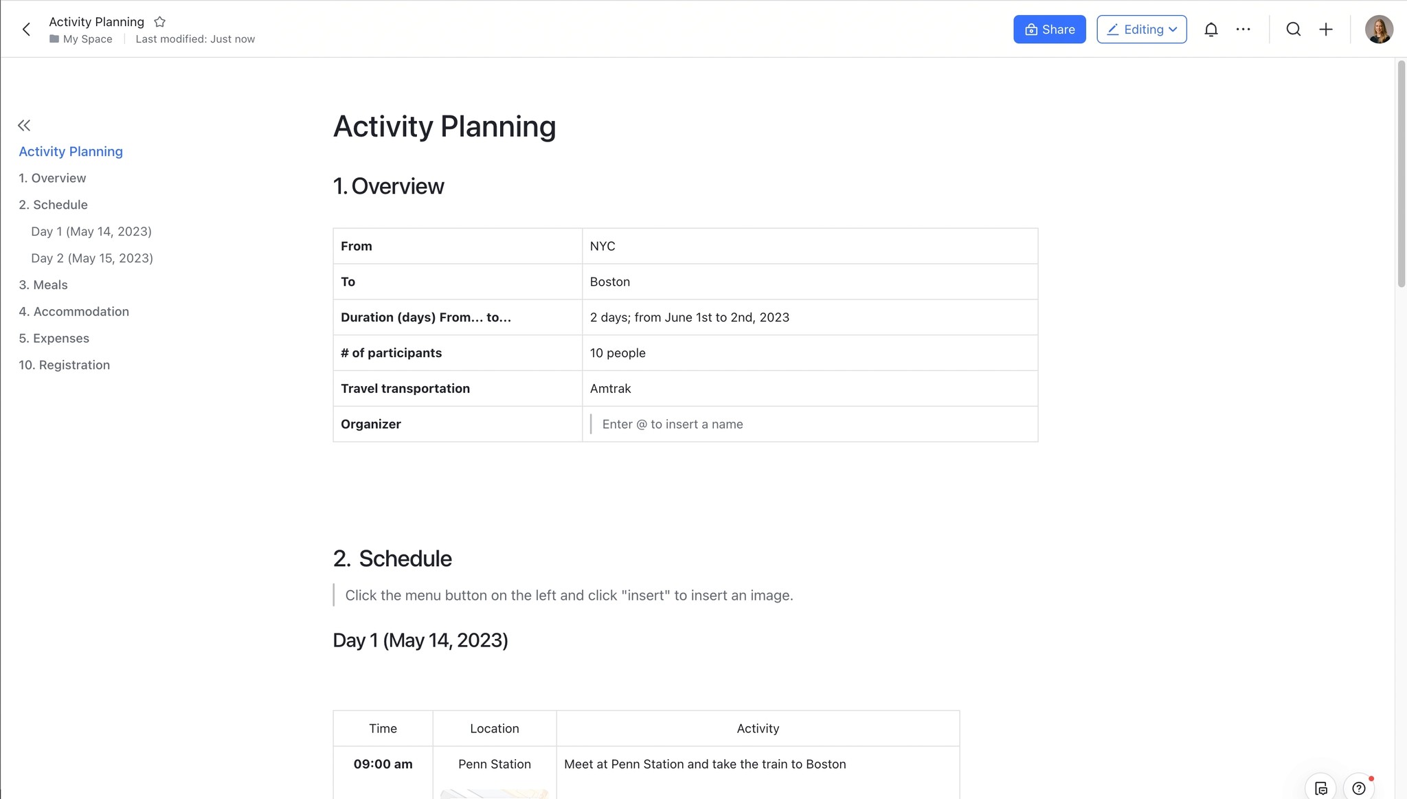 Powerful Free Lark Templates | Activity Planning