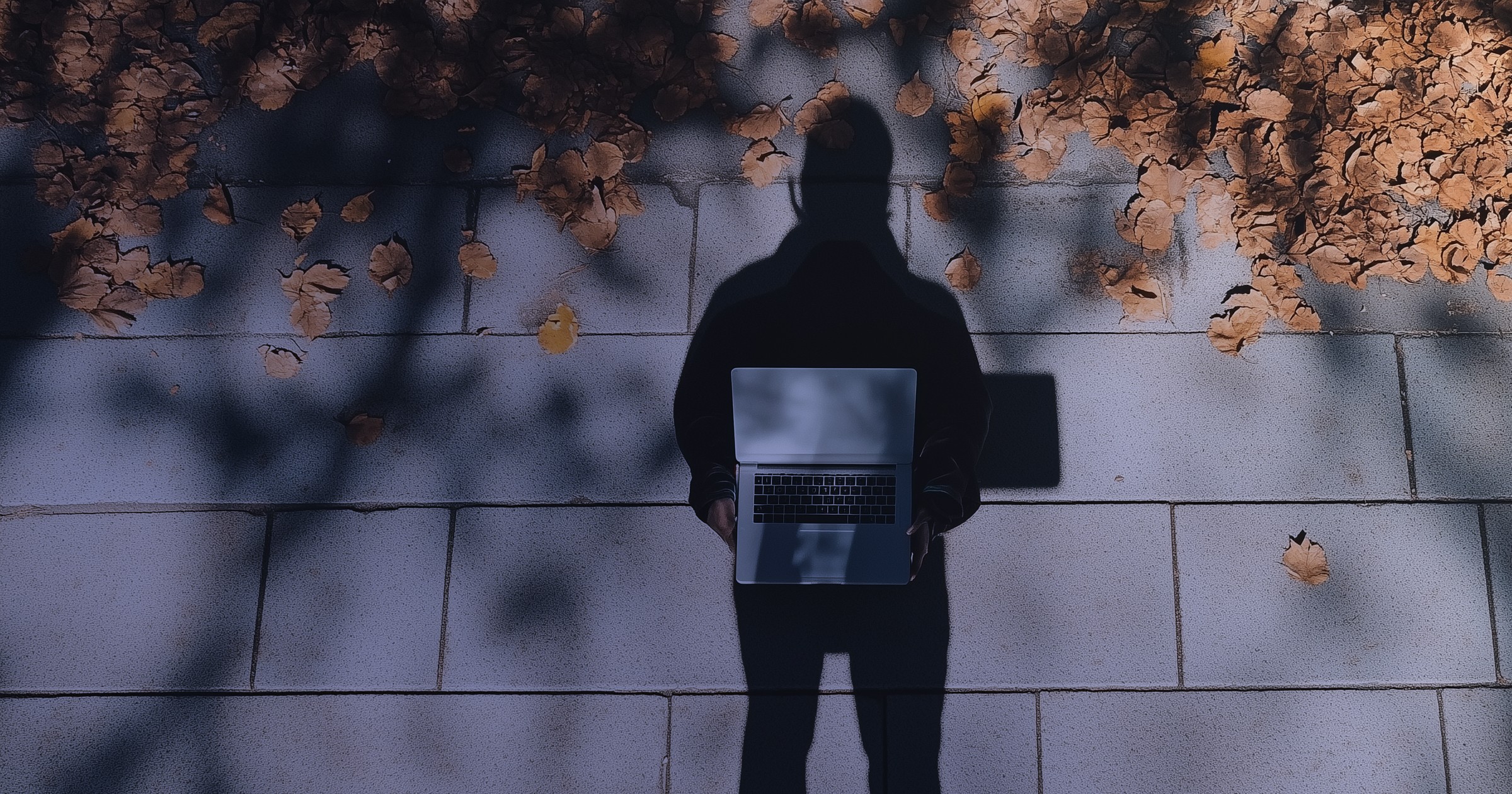 What you need to know about tech contract roles