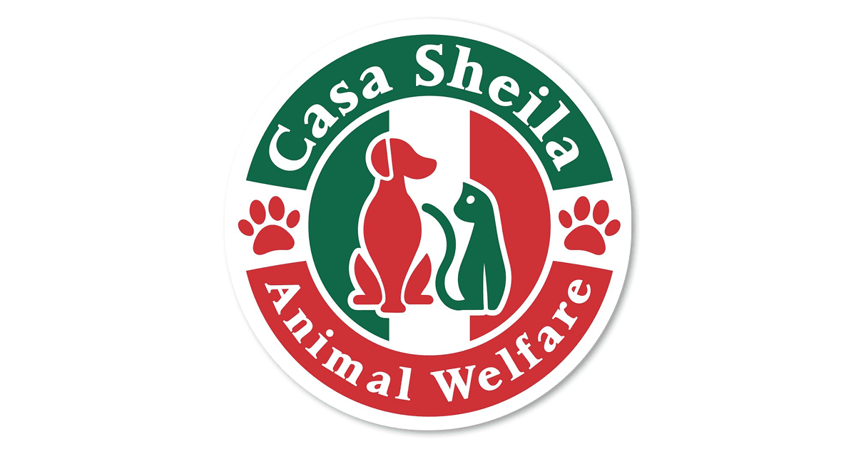 Casa Sheila Animal Welfare