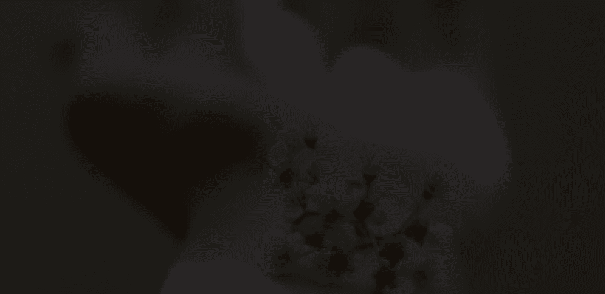 PrettyData