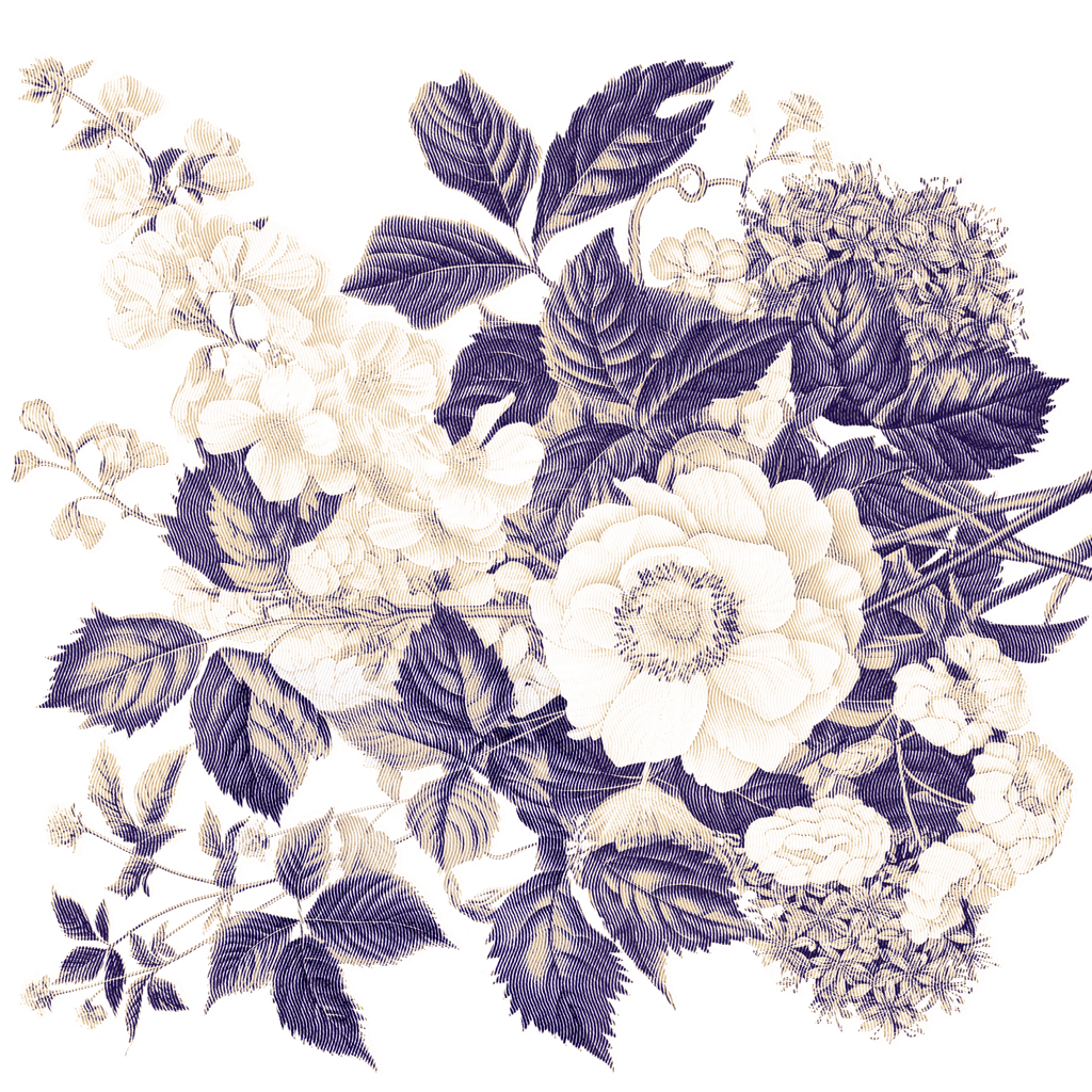 Perena | Stablecoin Infra