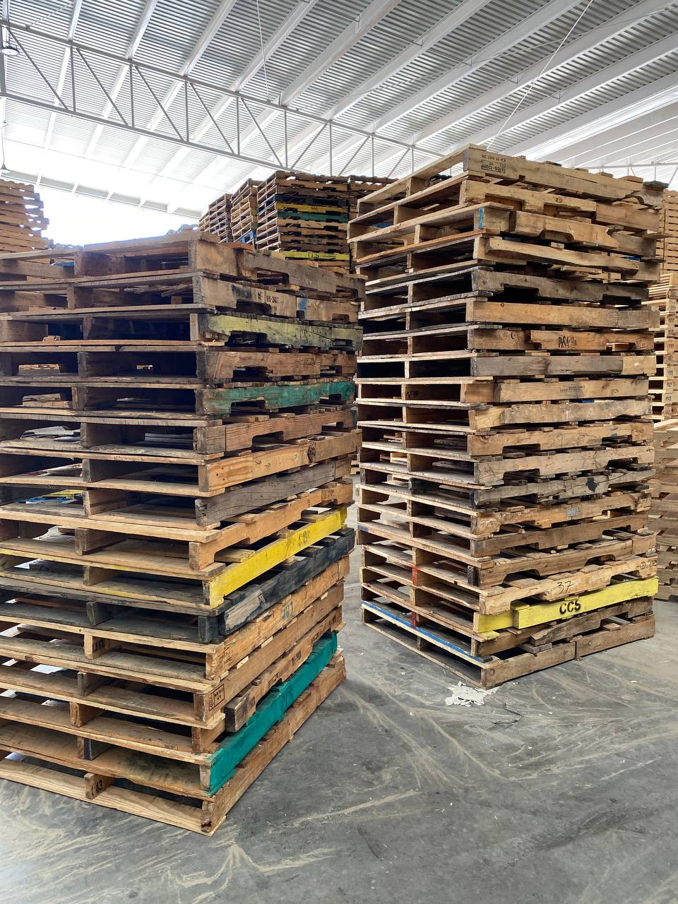 Tarimas de Madera Recicladas - Tarimex