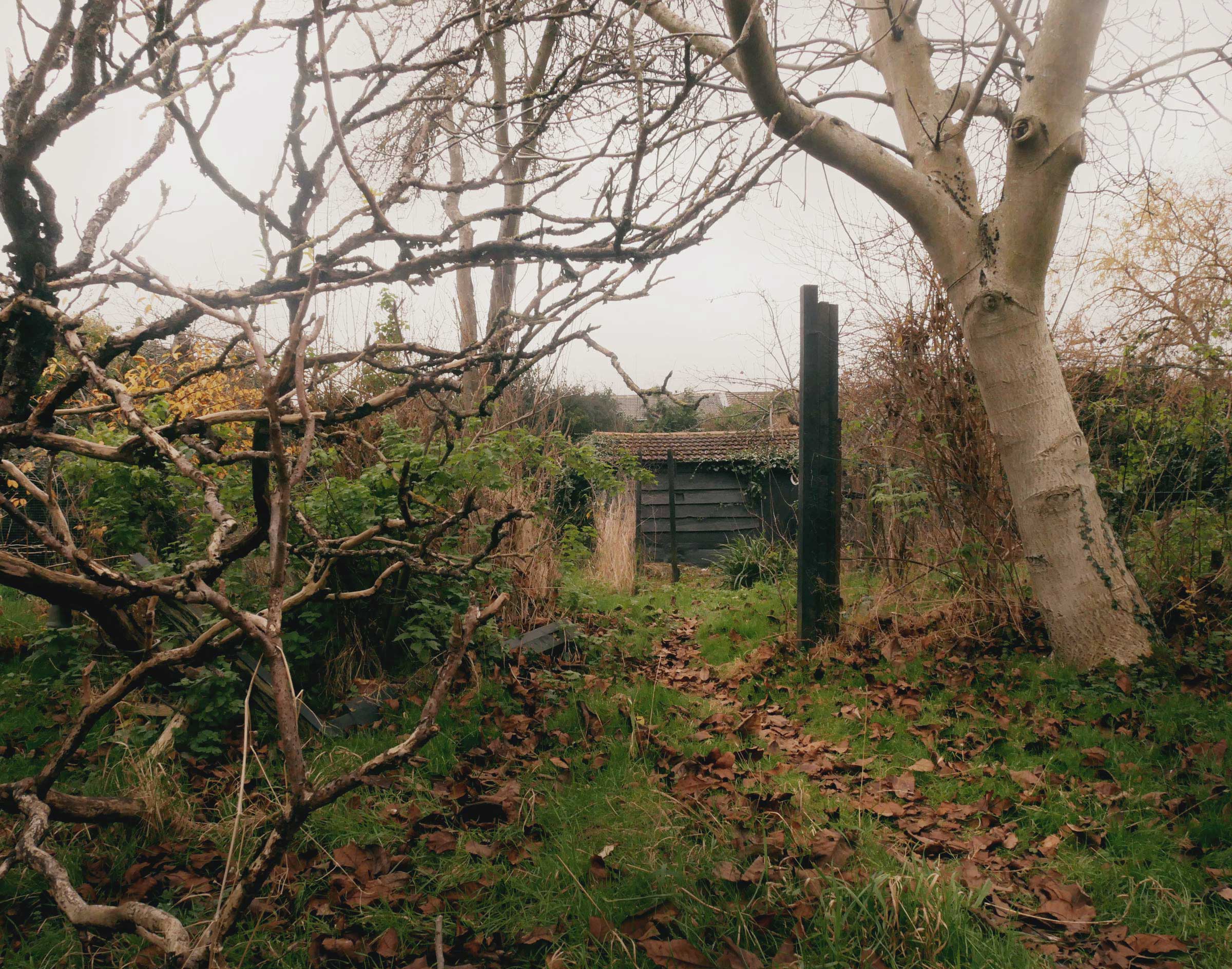 Stoneford Cottage Garden - Cooke Fawcett Architects