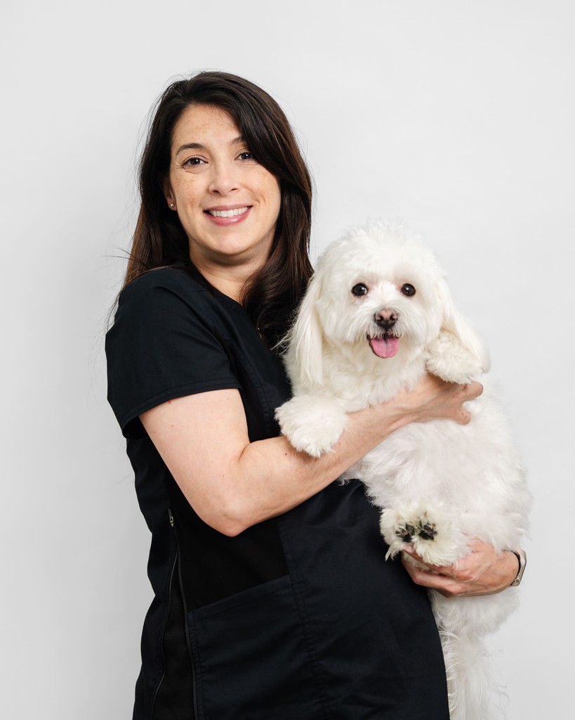 Autoimmune Hemolytic Anemia in Dogs: A Complete Guide