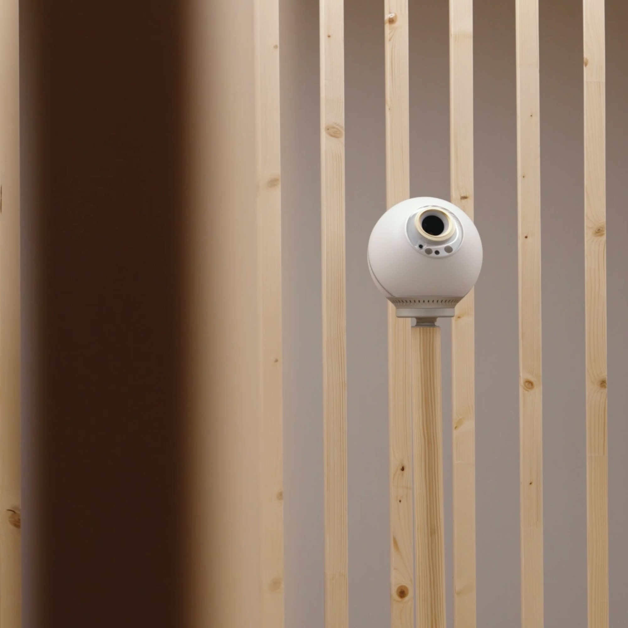 Optimism: The most used blockchain infrastructure.