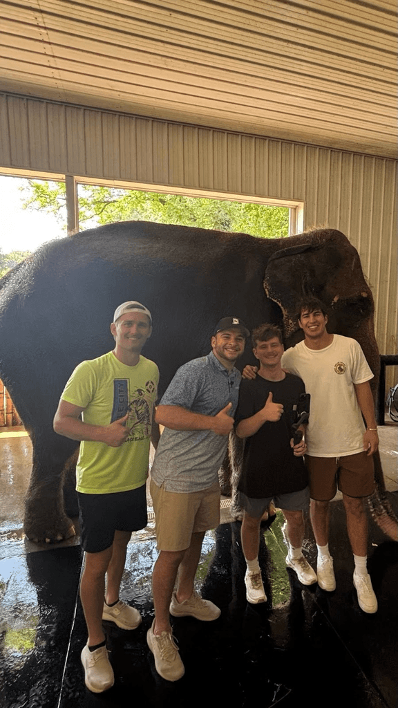 Wilstem Wildlife Park — A Southern Indiana Hidden Gem - Get Indiana.