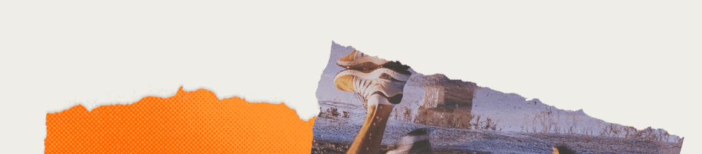 Perplexity - Race to Infinity