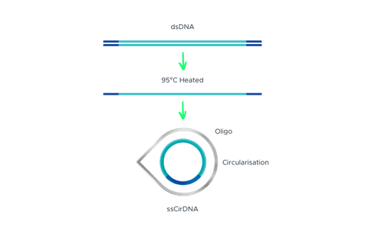 DNBSEQ Technology | MGI-tech | Leading Life Science Innovation