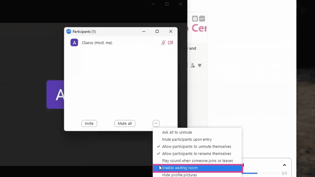 How to hide profile pictures on Zoom