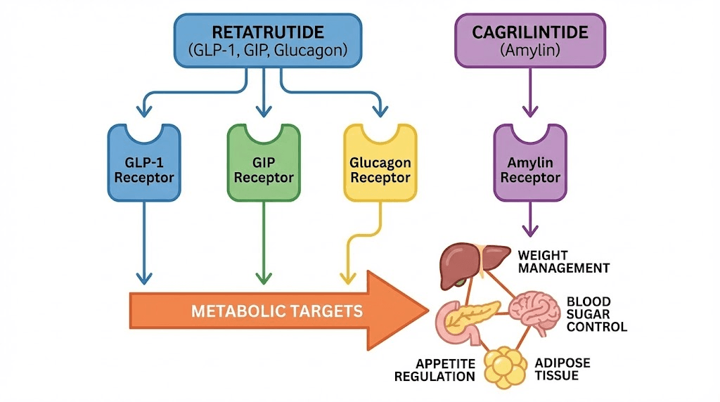 Cagrilintide dosage with retatrutide: complete stacking and protocol ...
