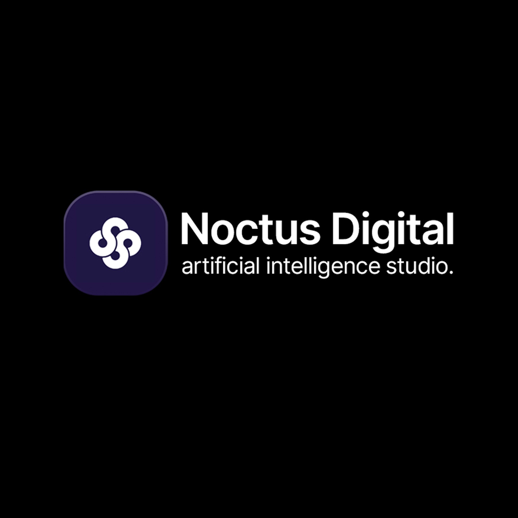 Noctus Digital - Growth & Consulting Firm