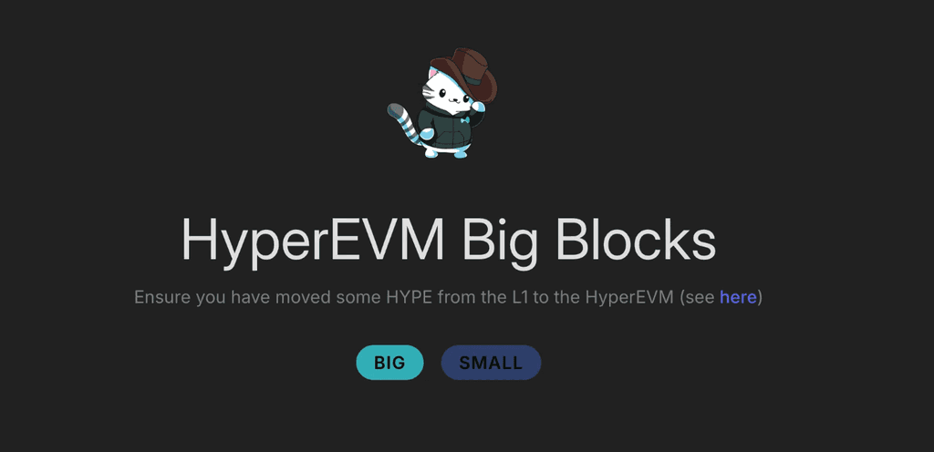 HyperEVM’s Role in Hyperliquid Explained - HypeRPC
