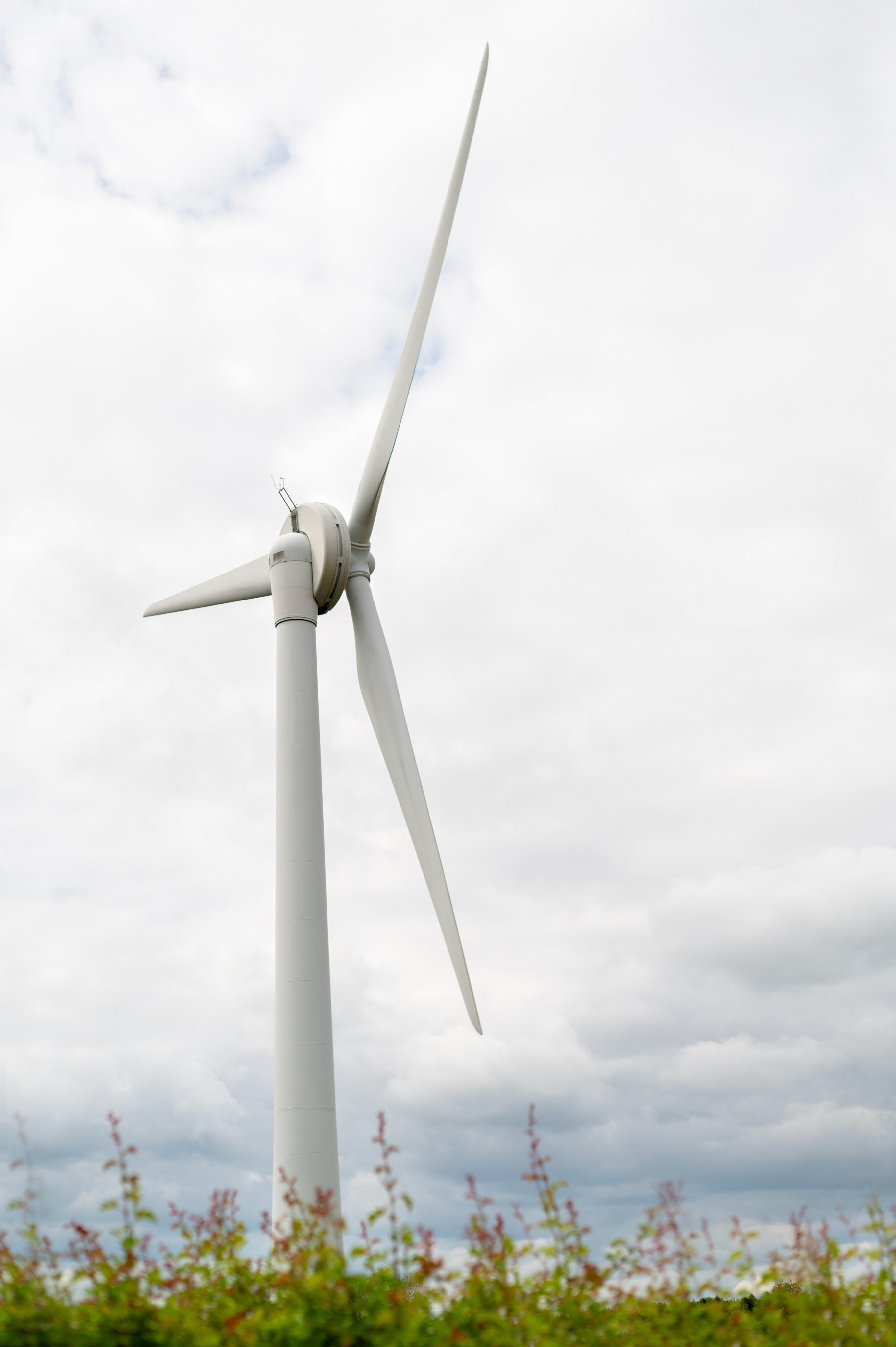 Good Climate News | Positive Environmental Stories | Ecologi
