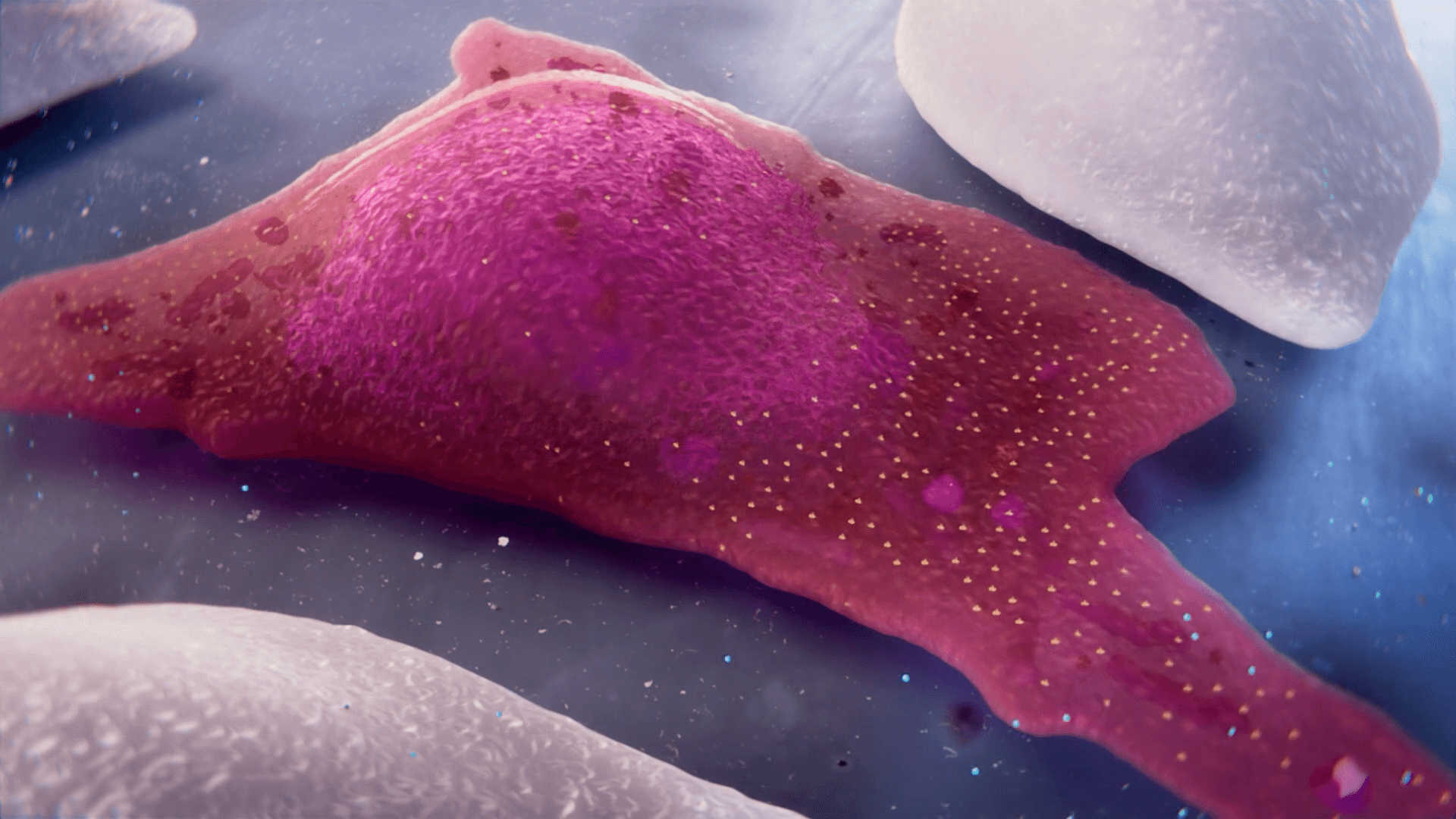 Scientific & Medical Communication Services: MoA Animations, Decks and ...